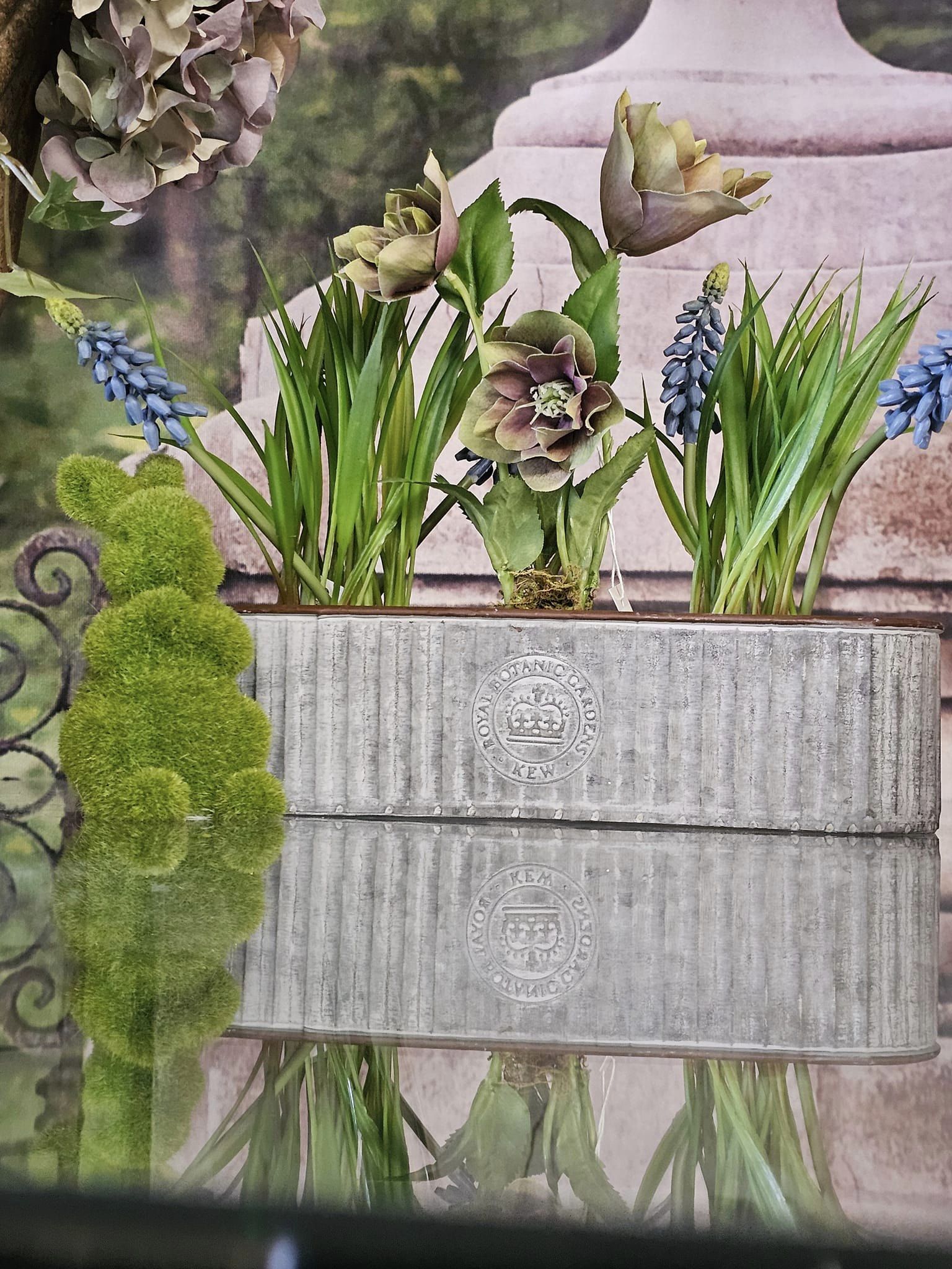 Long-Ribbed Zinc Planter | Royal Botanic Gardens - Vintage Charm